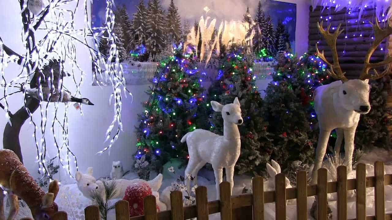 Festive Fun & Father Christmas | Christmas in Hampshire - Prosecco Mum