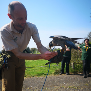 gifted / The Hawk Conservancy Trust - Prosecco Mum